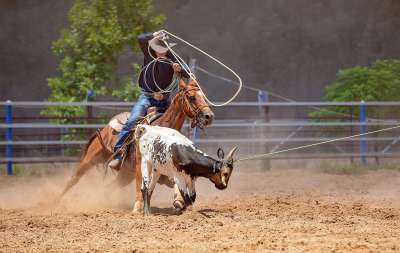 Copan Rodeo ACRA - Event | VisitBartlesville.com