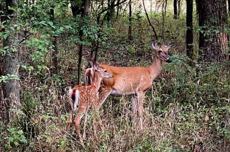 Pathfinder Parkway | Explore Bartlesville, OK | VisitBartlesville.com